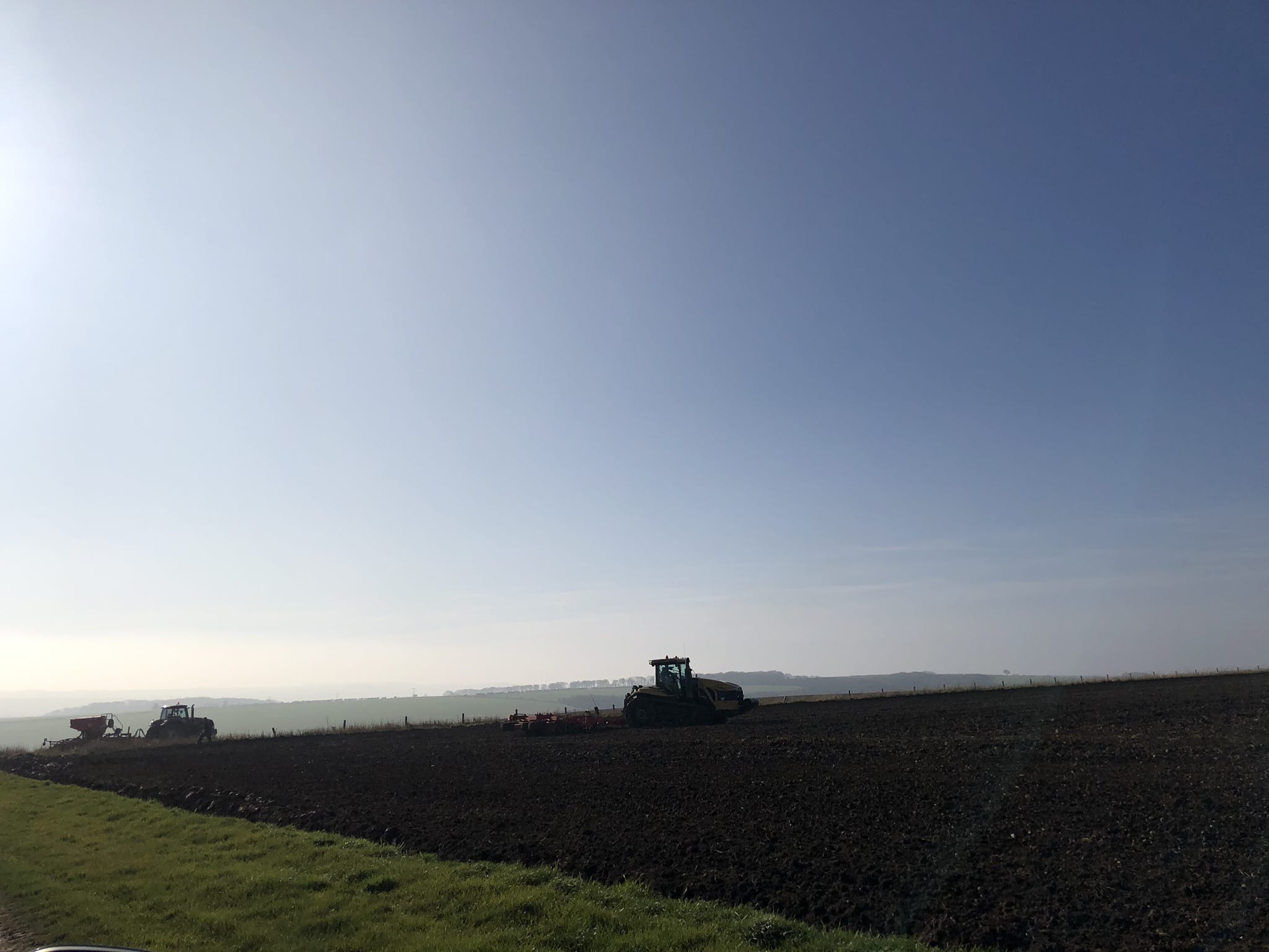 Growing: Barley - Spirit Of Yorkshire