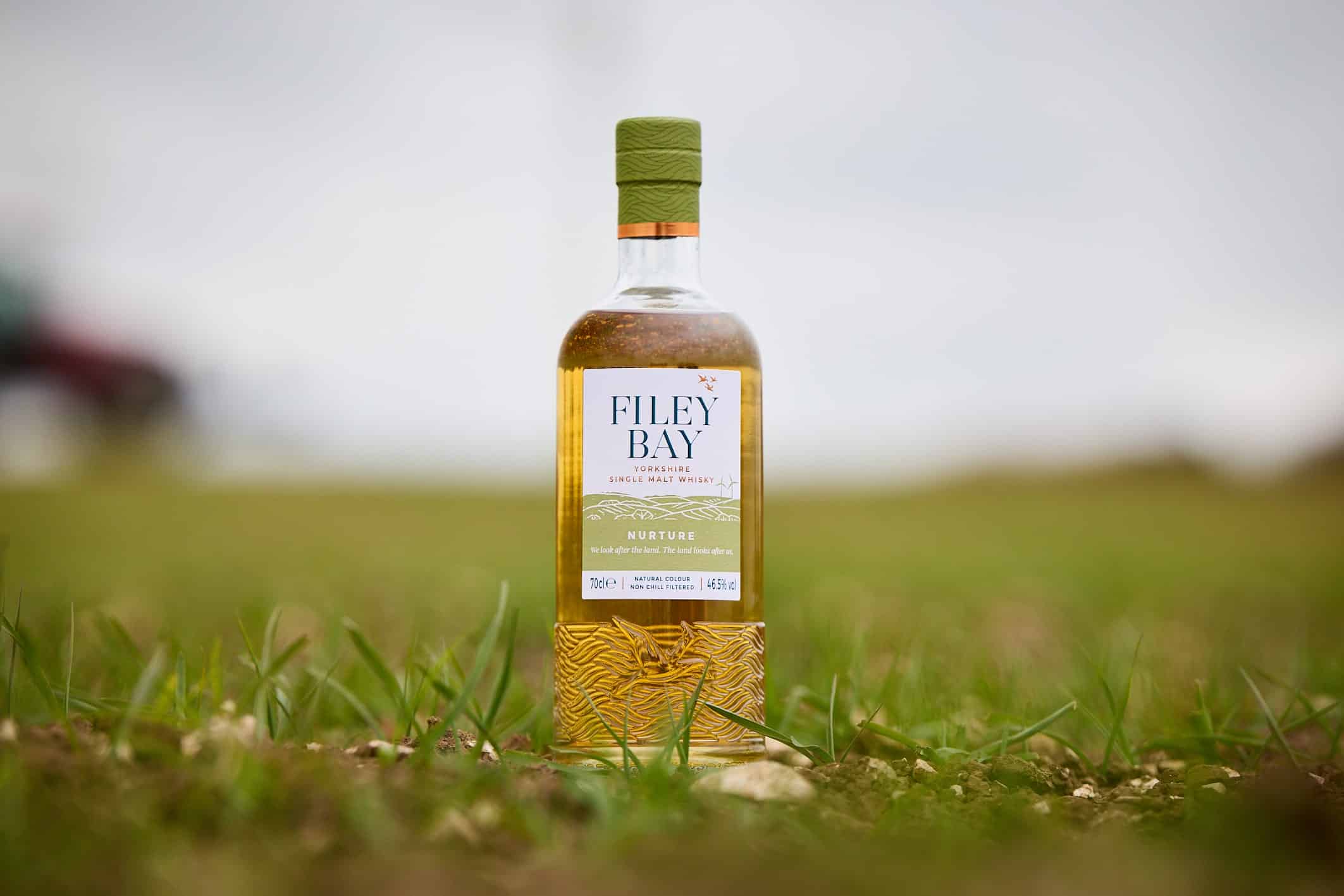 Regenerative Editions Filey Bay Nurture - Spirit Of Yorkshire